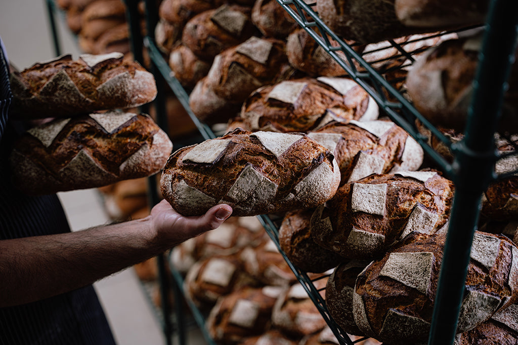 SOURDOUGH FAQS– For The Love of Bread